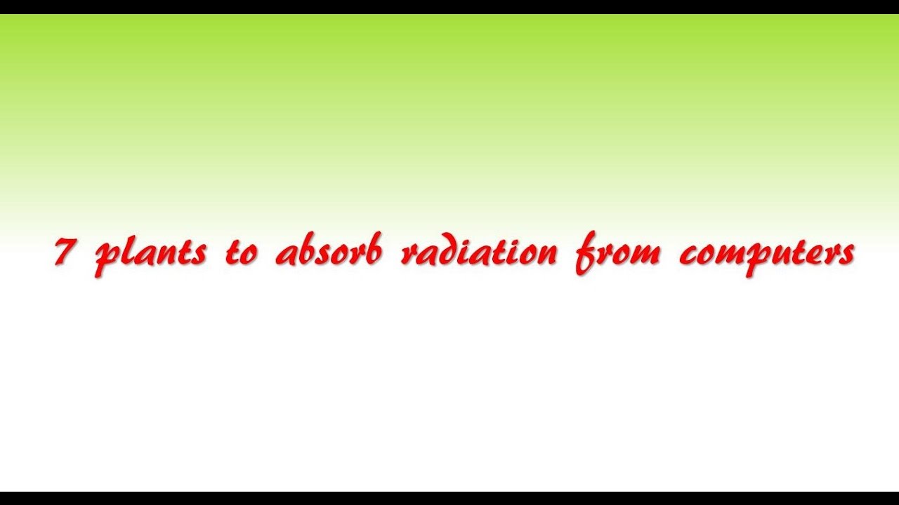 7 Plants To Absorb Radiation From Computers - YouTube