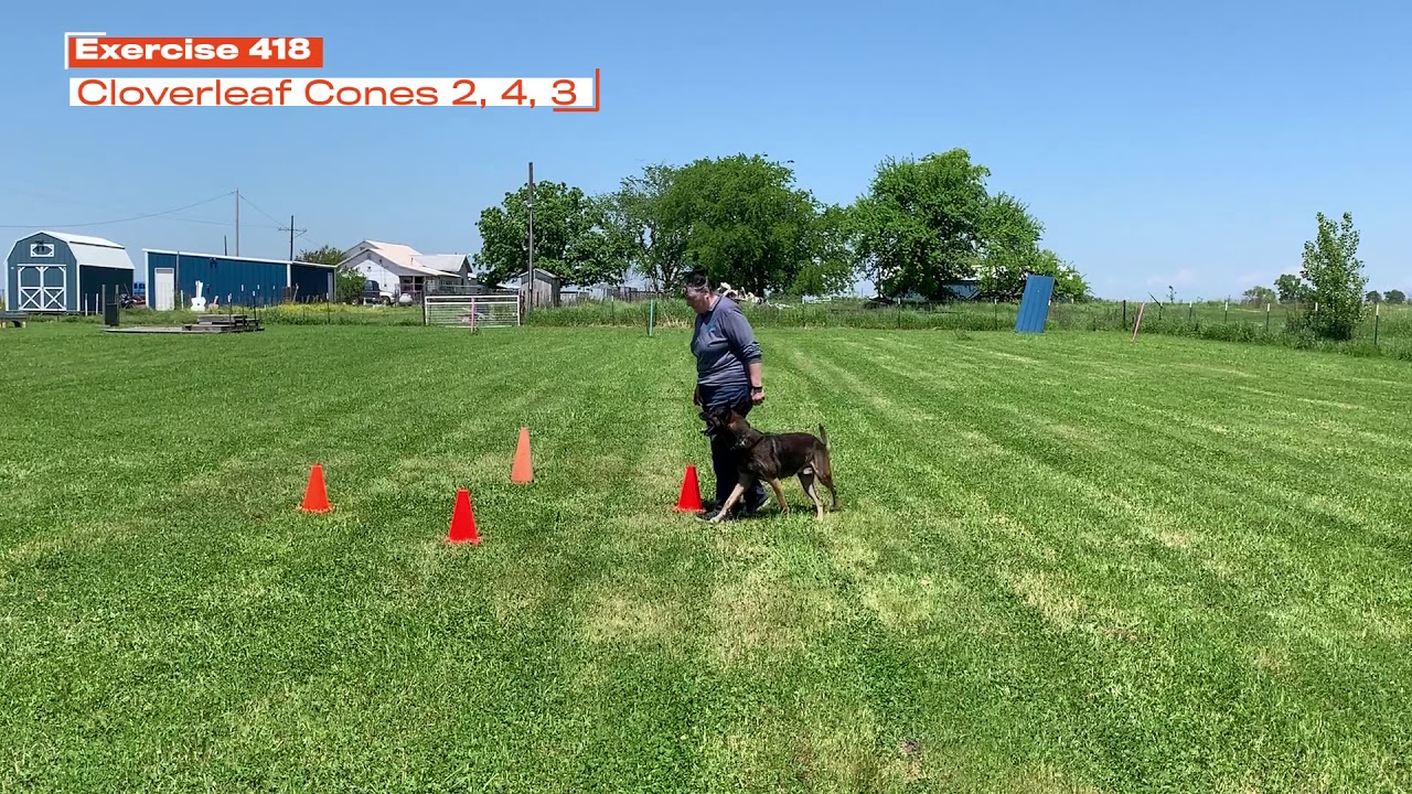 UKC Rally Exercise: 418 - Cloverleaf - YouTube