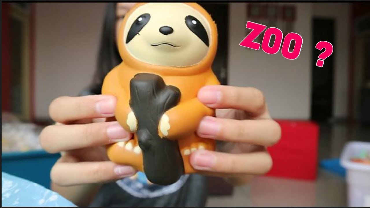 KUKANG / SLOTH ?! | PLACE SQUISHY TAG - YouTube
