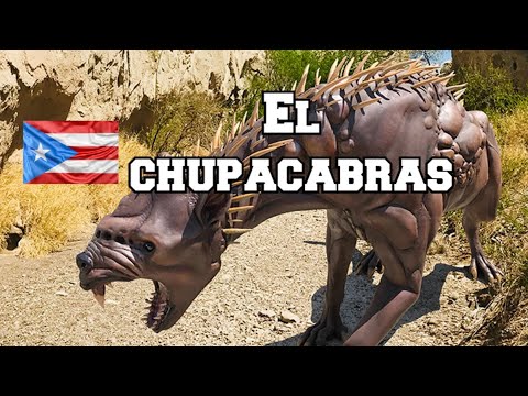 Reaparece El CHUPACABRAS en PUERTO RICO 2022 - YouTube