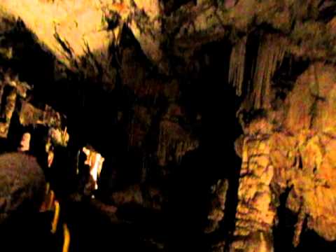 Grotte di Postumia / Postojnska jama Cave Grotta Hohle - YouTube