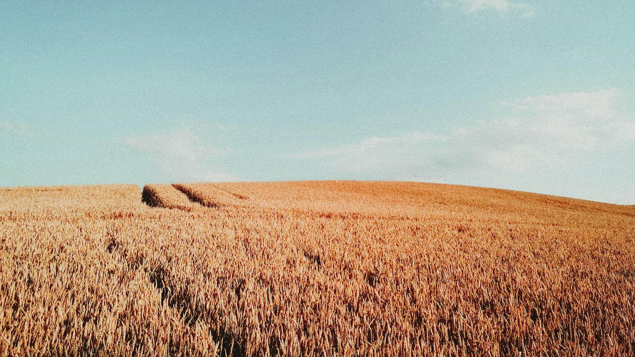 Live-Stream Worship at 17h30: Second Sunday after Pentecost 2ndJun2024 ...