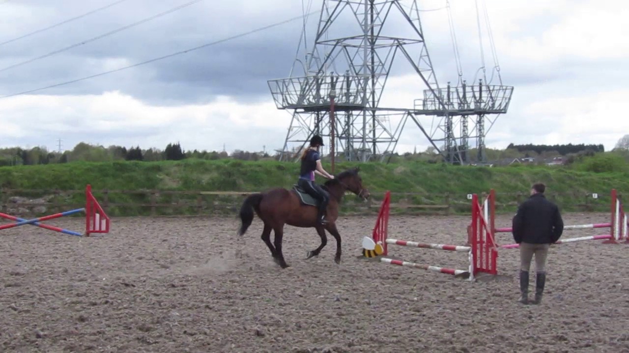 Clear round on Marigold -at Ryders Farm Equestrian Centre - YouTube