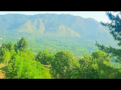 terah Khyber agency | inside the jungle - YouTube