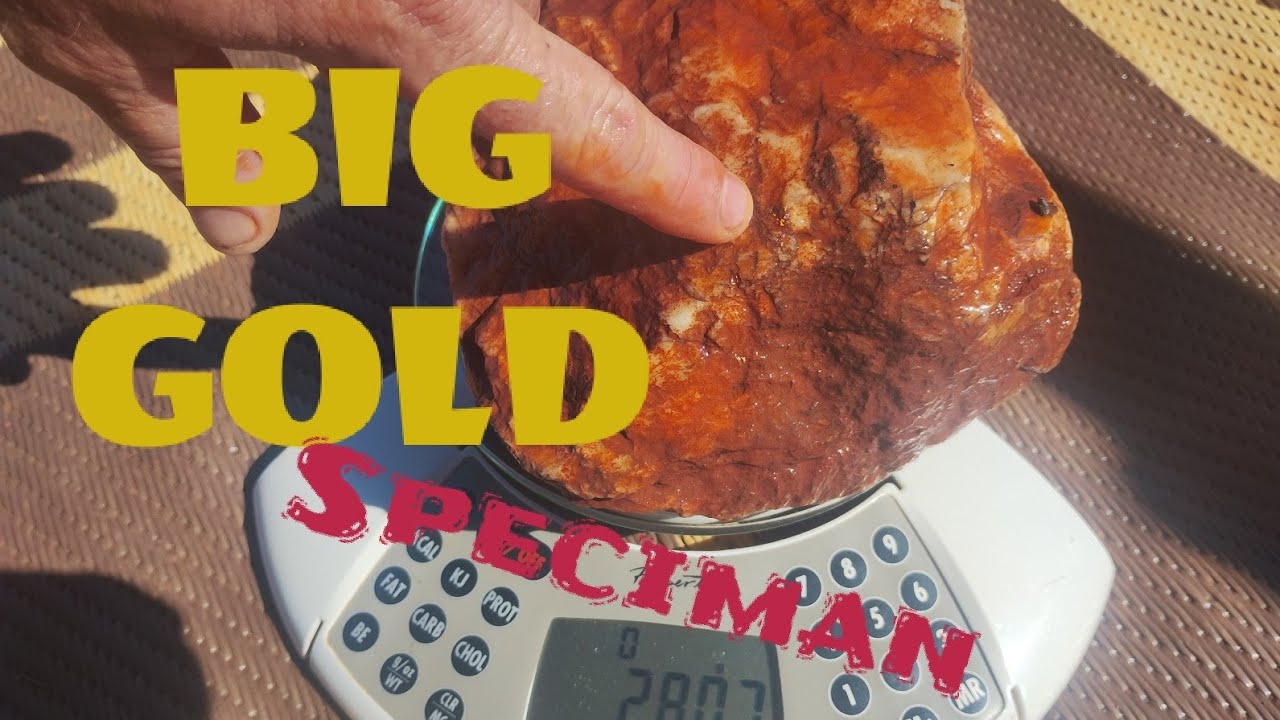 3kg GOLD SPECIE. WHAT A SUNDAY MORNING - YouTube