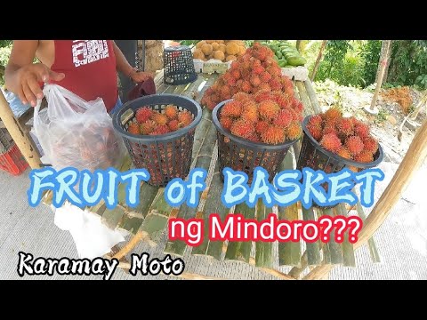fruit basket ng mindoro - YouTube