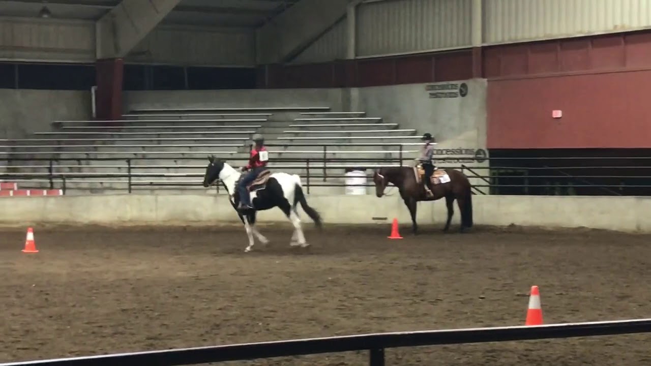 Western Riding Pattern at State Horse Expo 2018 - YouTube