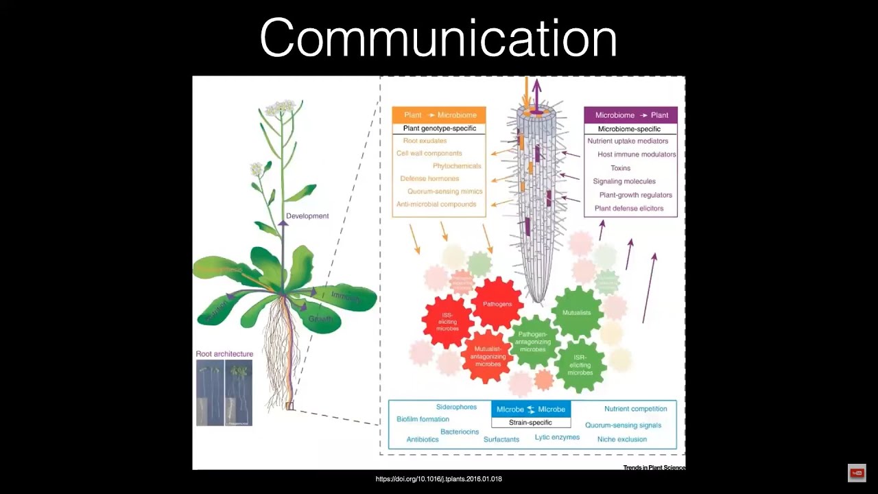 Videos - Natural Growing Through Biology