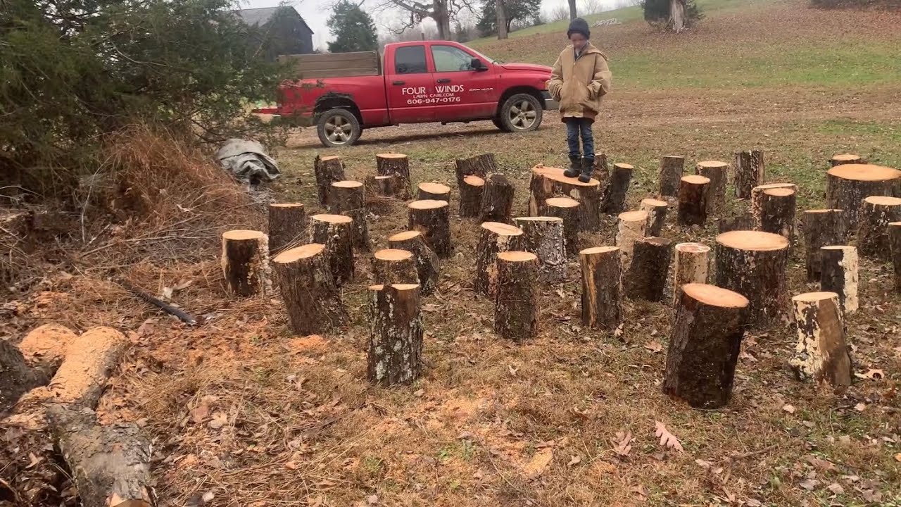 Firewood Adventure #16: Hand splitting $200 worth of firewood in 15 ...