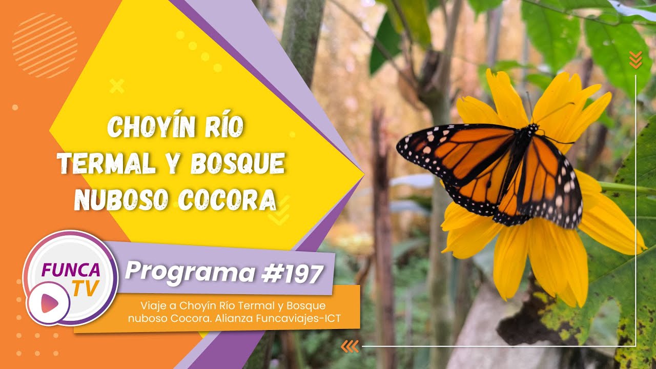 PROGRAMA #197 VIAJE FUNCAVIAJES-ICT A CHOYÍN RÍO TERMAL Y BOSQUE NUBOSO ...