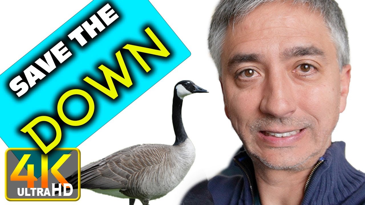 How to Recover & Save Down In A Sleeping Bag (4k UHD) - YouTube