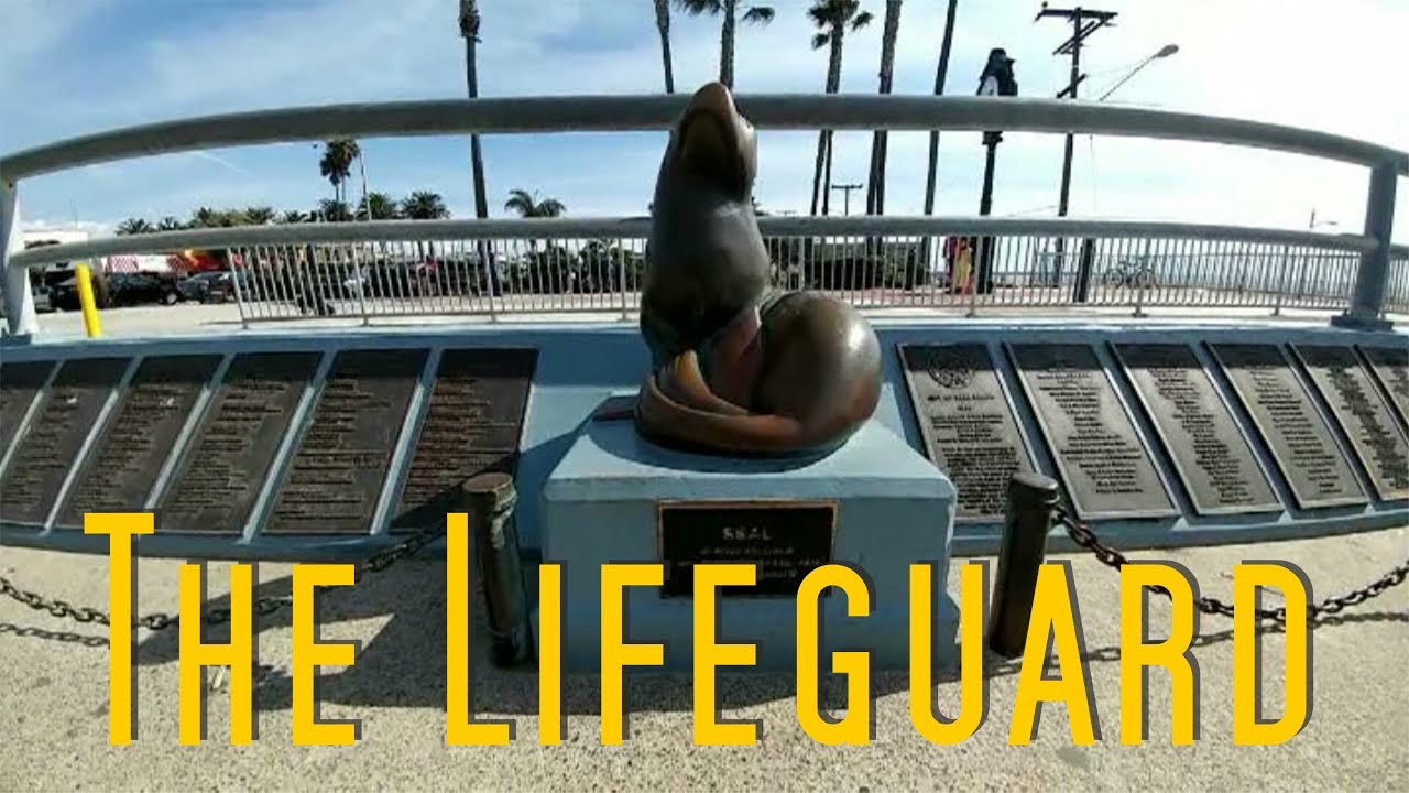 The Lifeguard - YouTube