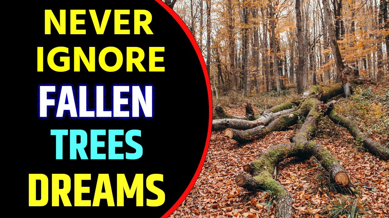 Falling Tree in Dream Meaning | Dreaming of Fallen Trees | Falling Tree ...