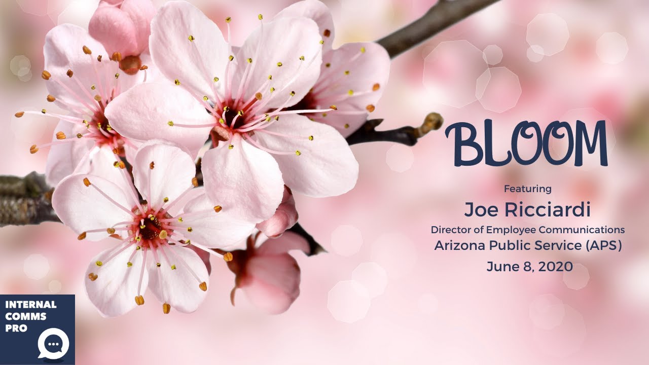 ICPro BLOOM Series with Joe Ricciardi - YouTube