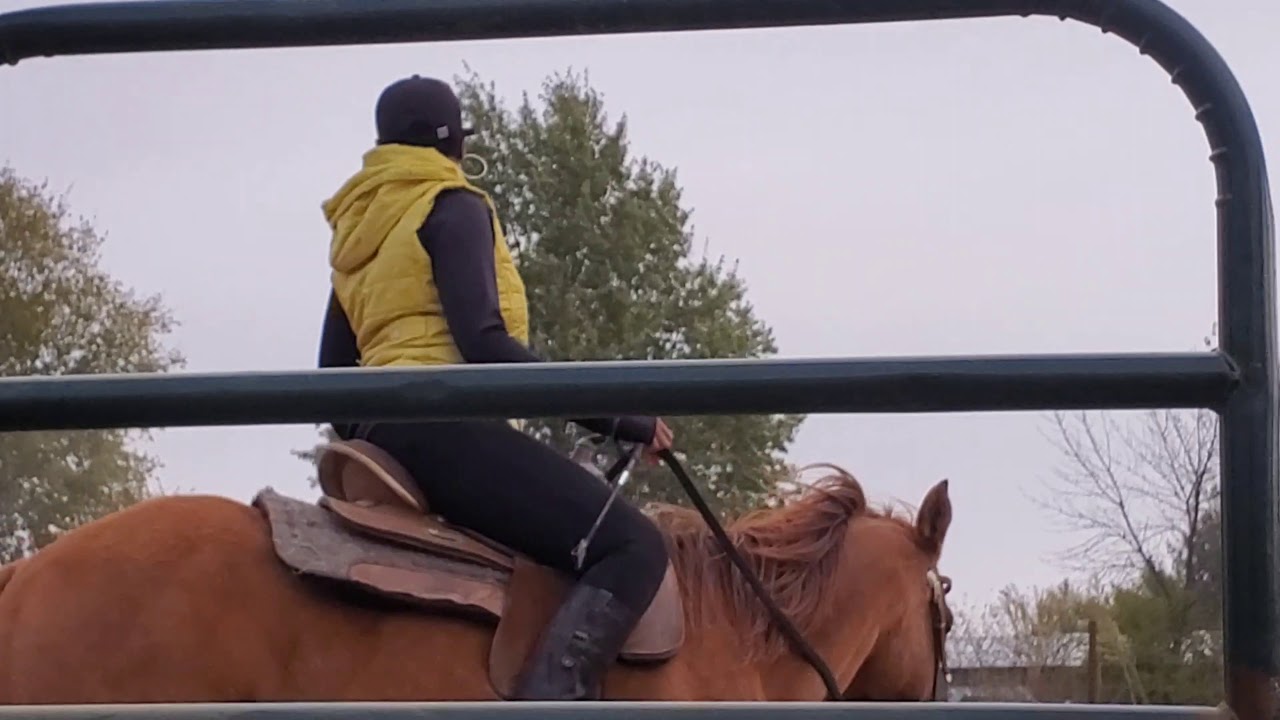 Dr. Sherrod - YouTube