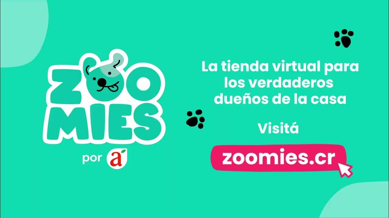 Zoomies tienda virtual - YouTube