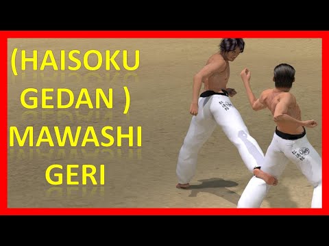 HAISOKU GEDAN MAWASHI GERI ES UN MAWASHI GERI A NIVEL GEDAN, O SEA ...