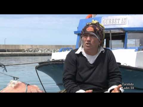 tarimda kadın eli HAVVA LATIFOGLU