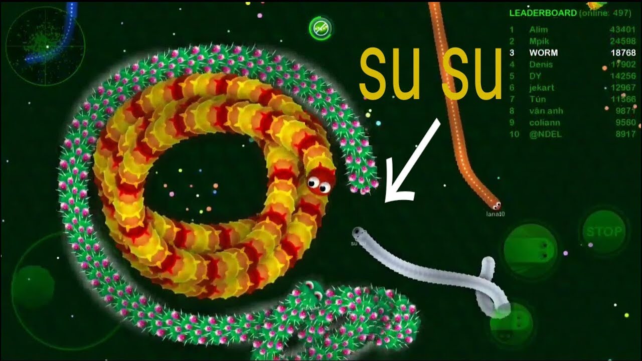 Wormax.io Top on Leaderboard - jekart VS su su | WORM - YouTube