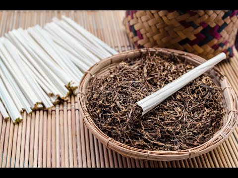 Landrace Thai Squirrel Tail - Preparation for traditional Nipa Palm ...