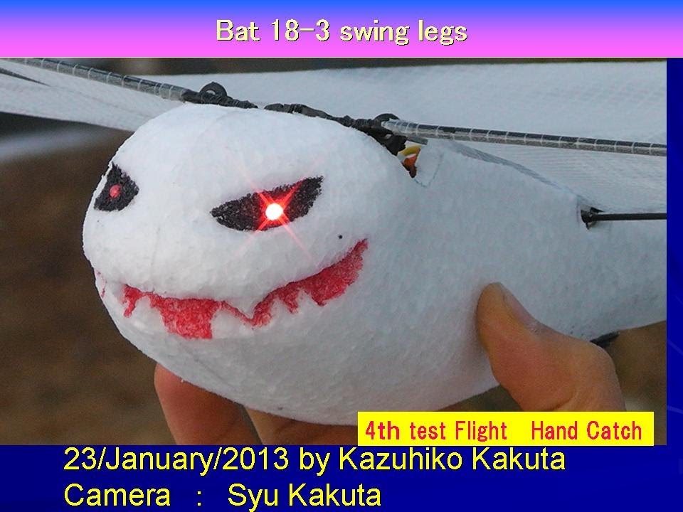 Bat 18-3 Swing legs: 4th Flight test Hand catch. - YouTube