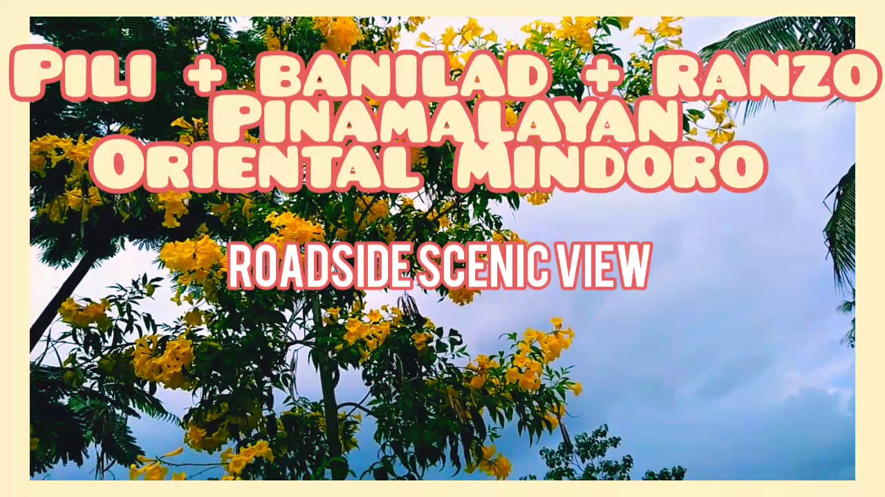 Pili + Banilad + Ranzo Pinamalayan Oriental Mindoro Philippines ...