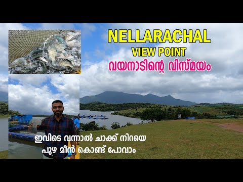 ഇവിടെ വന്നാൽ ചാക്ക് നിറയെ പുഴ മീൻ കൊണ്ട് പോവാം.Nellarachal View Point ...