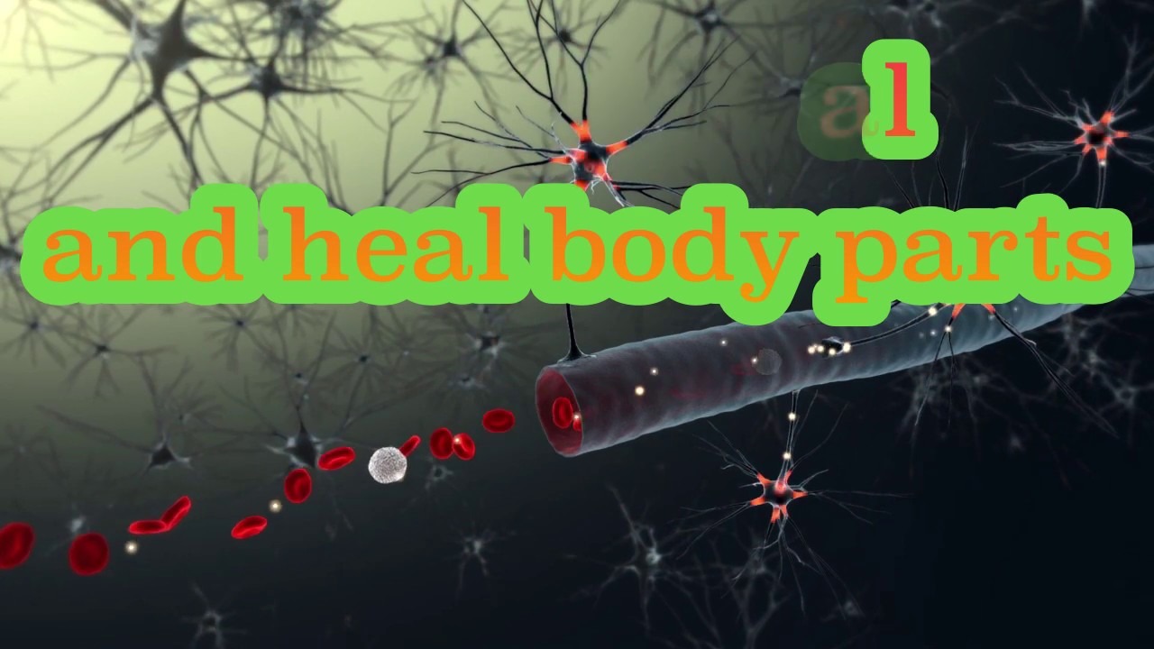 music to heal and body parts - YouTube