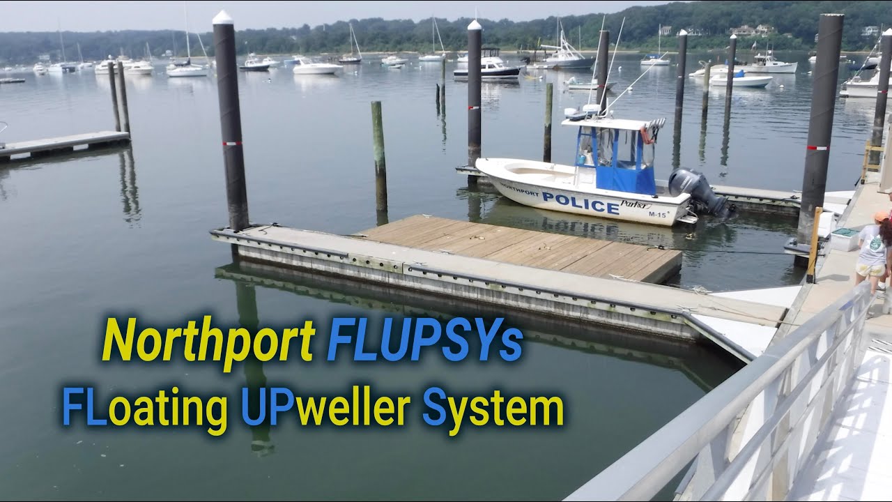 Northport FLUPSYs - YouTube