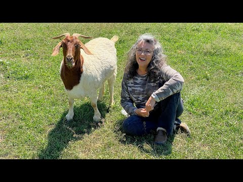 ANNALISE - SAVED MOMENTS FROM SLAUGHTER -