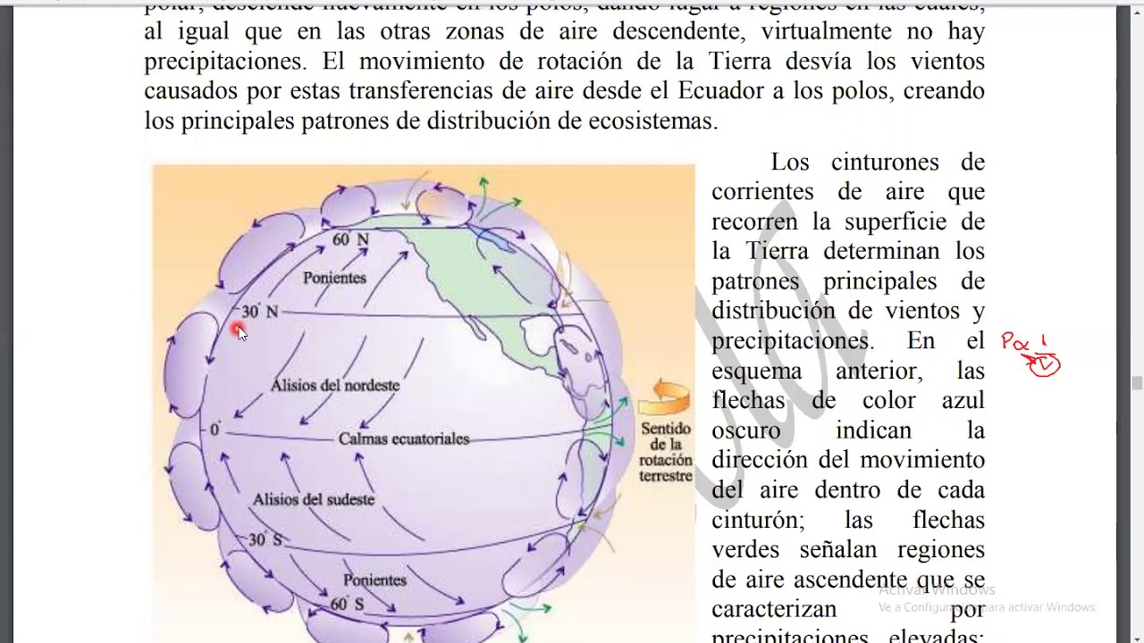 Ecología. Clima. Energía. Endotermos. Ectotermos. - YouTube