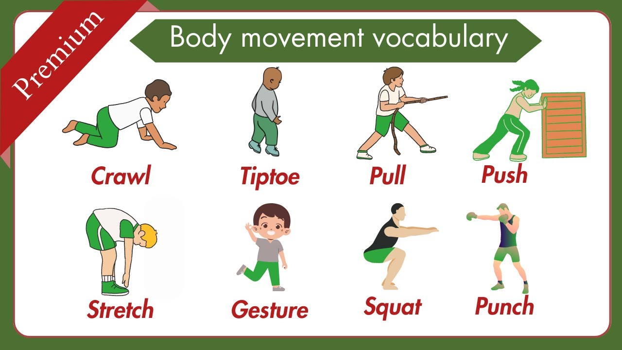 🎯 Master Body Movement Vocabulary with Animated Visuals | English ...