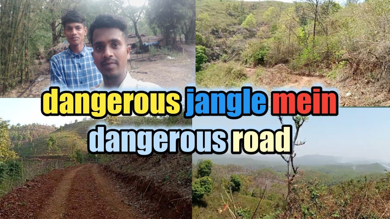 खतरानाक जंगल में खतरानाक सड़क || dangerous jangle me dangerous road ...
