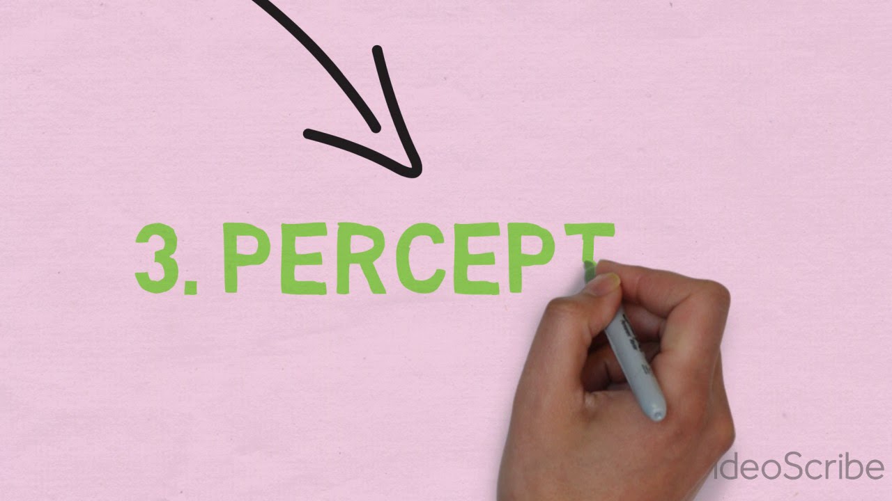 NOCICEPTION (PAIN PATHWAY) - YouTube