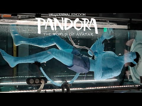 We Experience Flying | Flight of Passage Full Ride at Pandora at Avatar ...