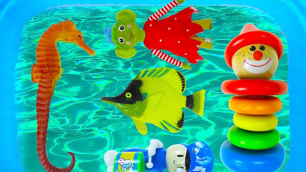 Learn Characters, Sea Animals and Colors Names in Blue Pool Educational ...