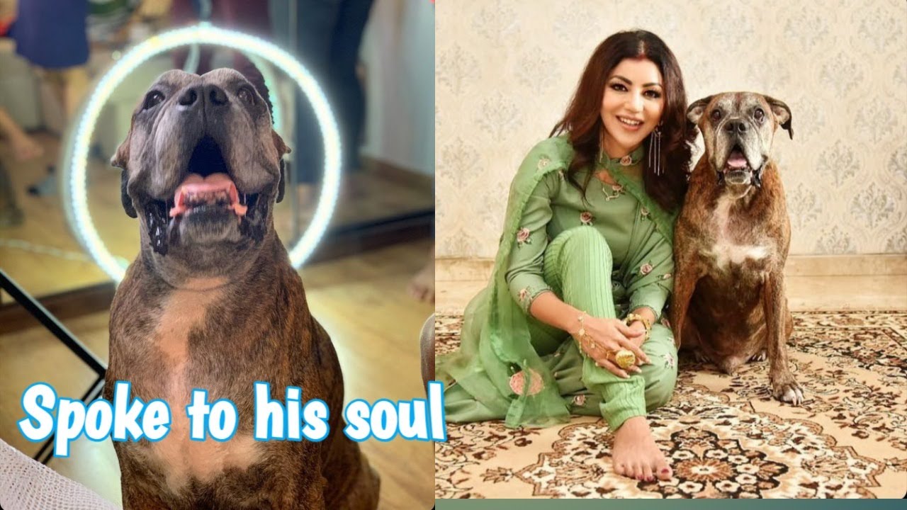 Spoke to an animal communicator | couldn’t control my tears | HINDI ...