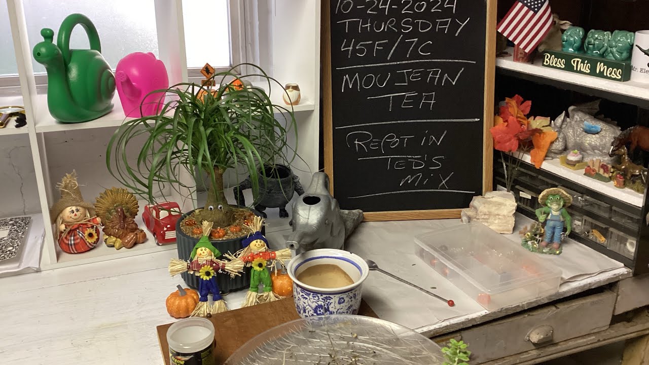 Moujean Tea - YouTube