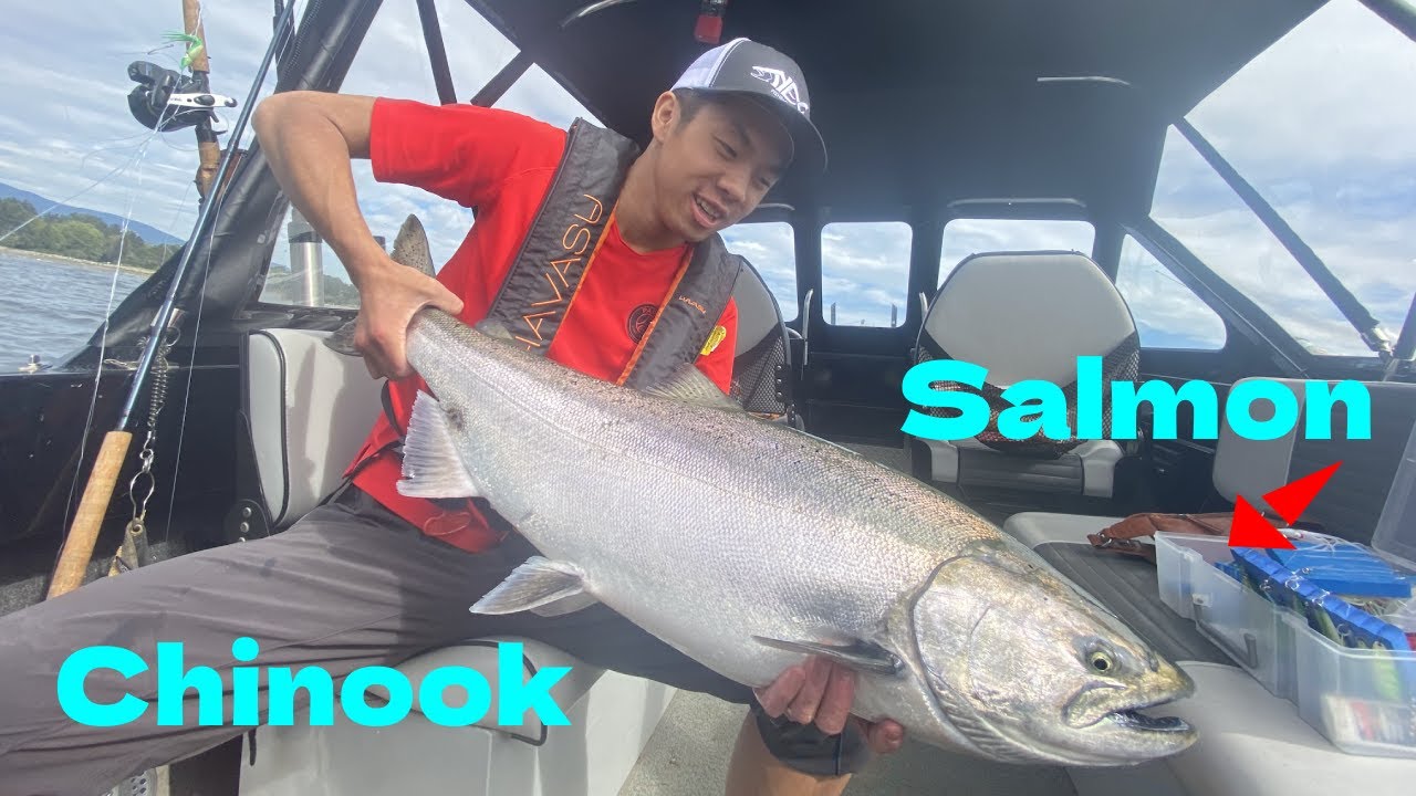 CHINOOK and COHO SALMON Trolling with SPOONS/HOOCHIES (CAGHT A BIG ONE ...