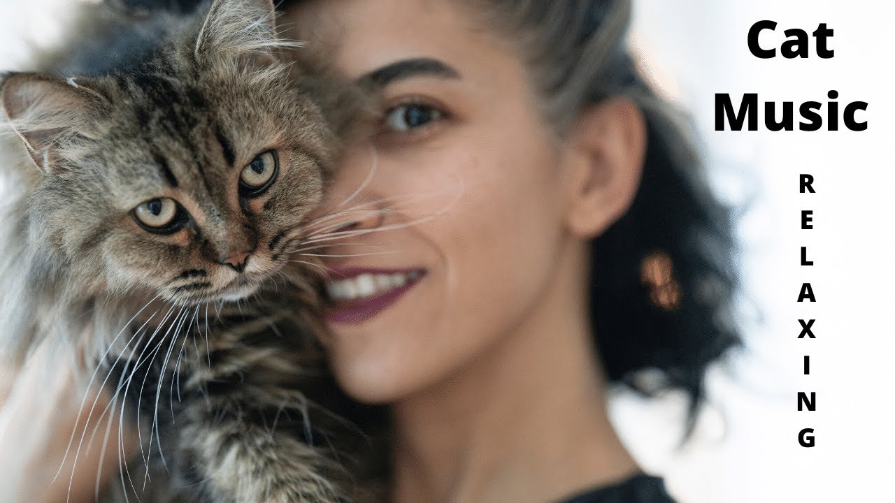 Cat Music - Hours of Soothing Music for Cats - Relaxing & Calm Music ...