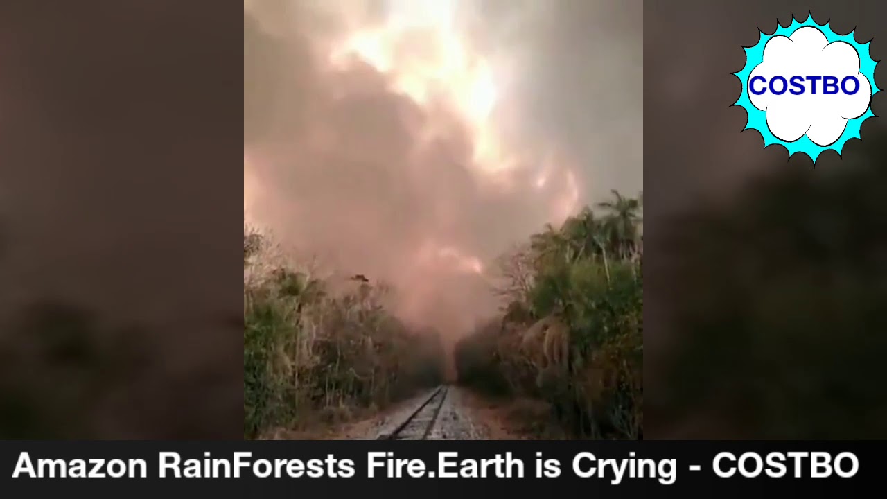 Amazon Raintree forest fire - YouTube