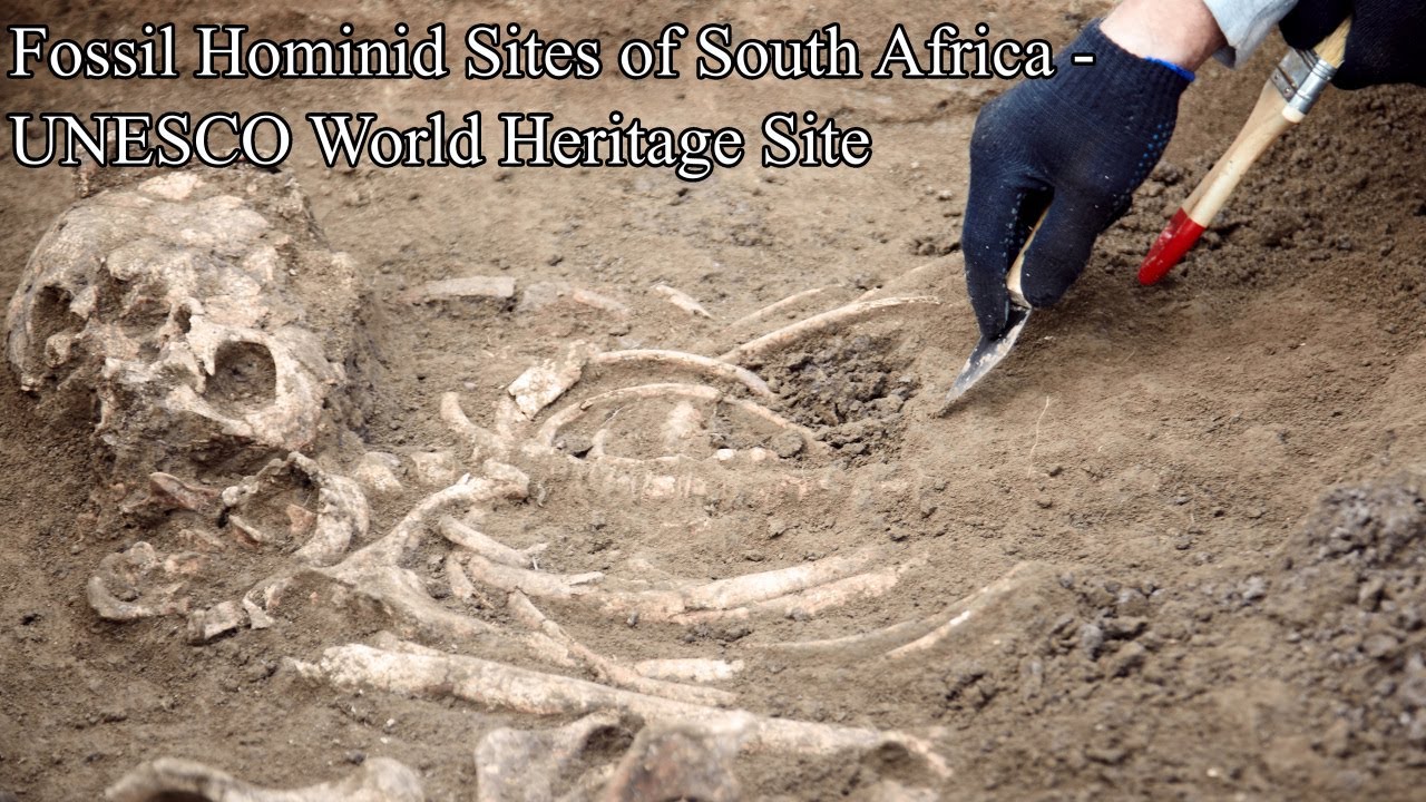 Fossil Hominid Sites of South Africa - UNESCO World Heritage Site - YouTube