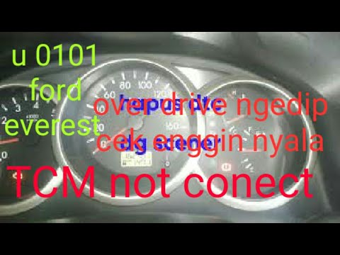 Ford everest error kode u 0101 (lost comunication with tcm) - YouTube