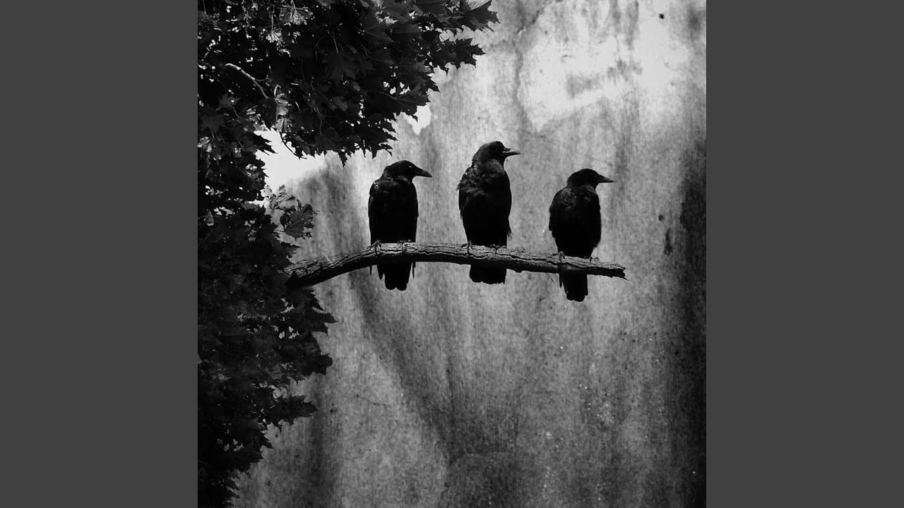 3 Black Crows (feat. Zai* & Vonte*) - YouTube