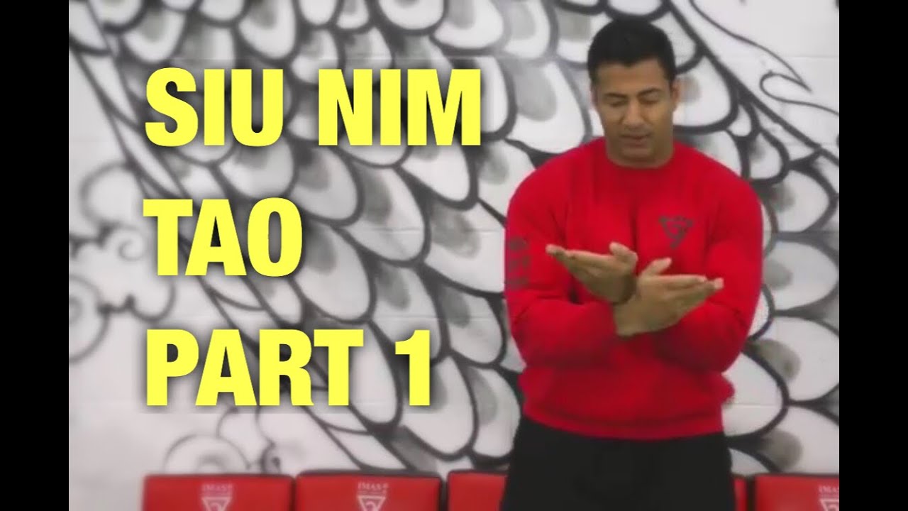 Siu Nim Tao Part 1 - WingTsun/Wing Chun - Sifu Vik Hothi - YouTube