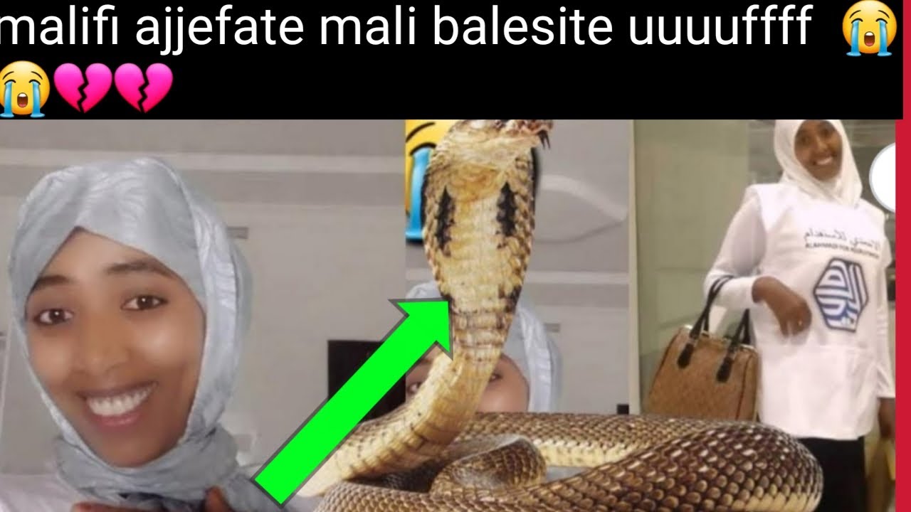 malifi ajjeefate mali balesite dhagefadha 😭😭😭💔 - YouTube