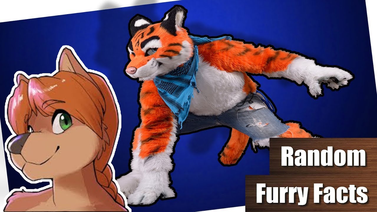 VorwÜrfe Gegen Adam Wan Ticer Bei Ninja Warrior Random Furry Facts 12 Youtube