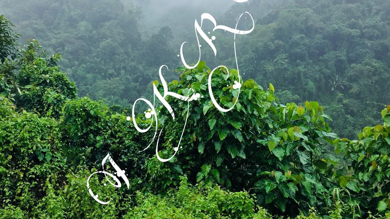 Trending photo Editing Jungle Pic For ComputerTech YouTube Channel ...