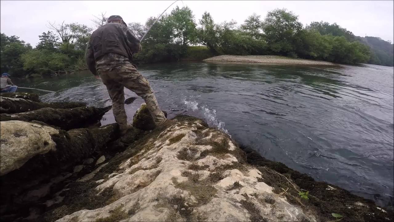 Salmon rio Cares - YouTube