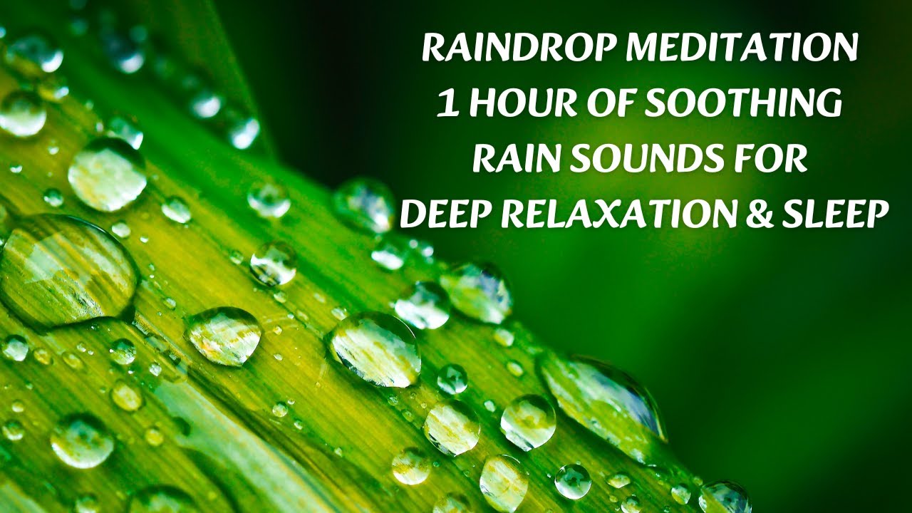 Raindrop Meditation | 1 Hour of Soothing Rain Sounds for Deep ...